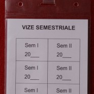 Legitimatii tip ecuson